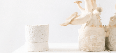 Mycelium: Sustainable Packaging Material with Many Advantages GROWN bio