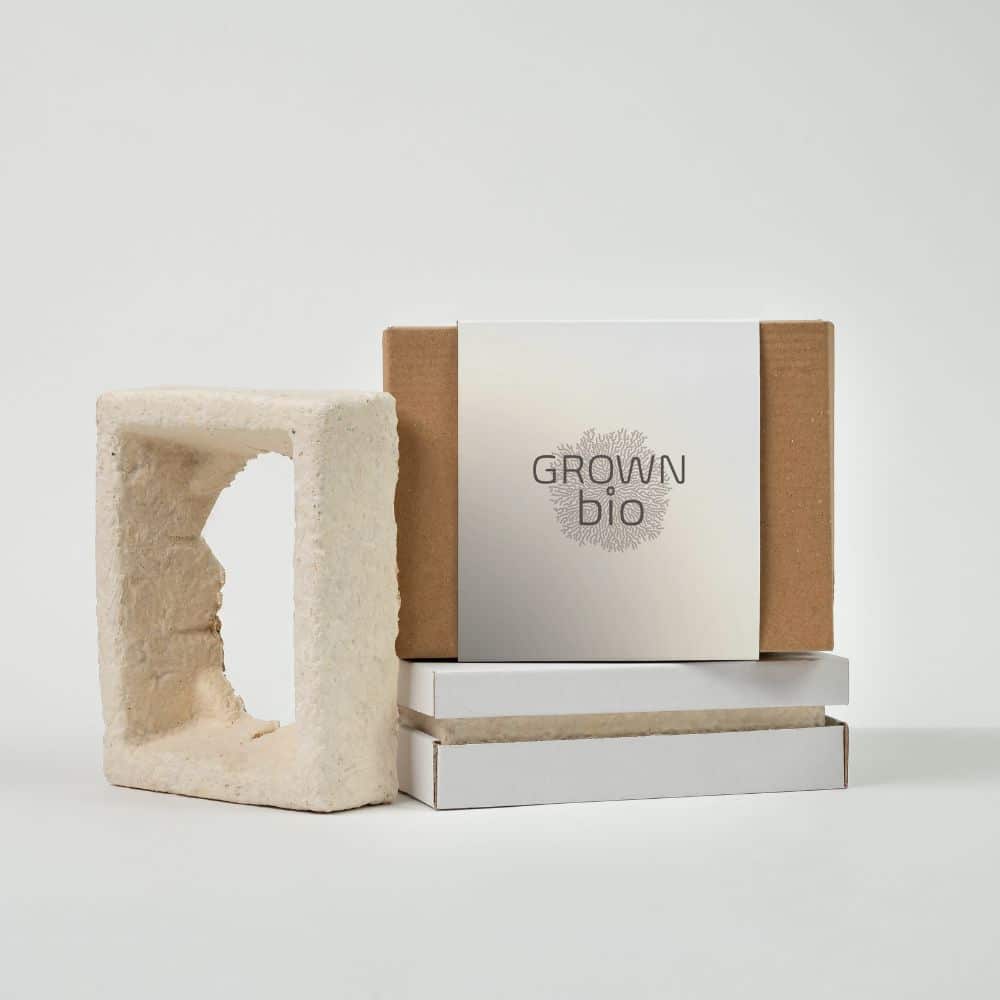 Protective Mycelium Box - Small - GROWN bio