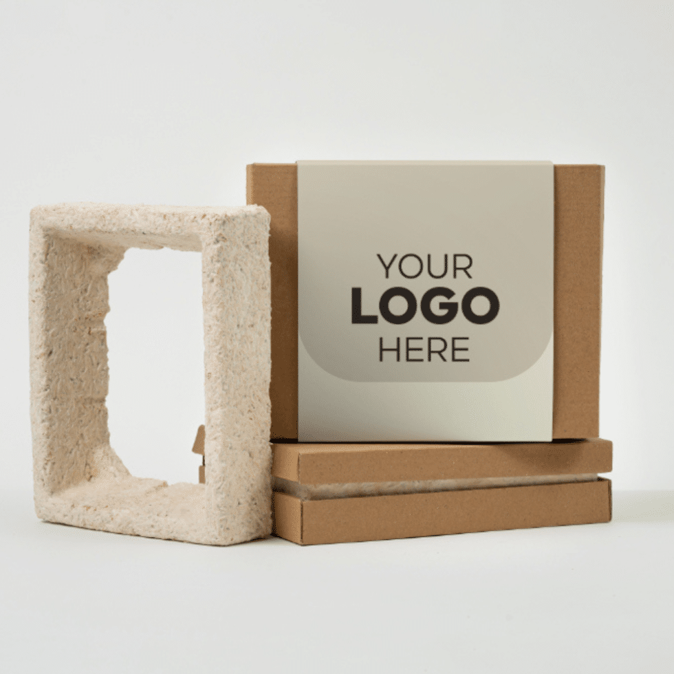 Want to shop exclusive mycelium products? Take a quick look!